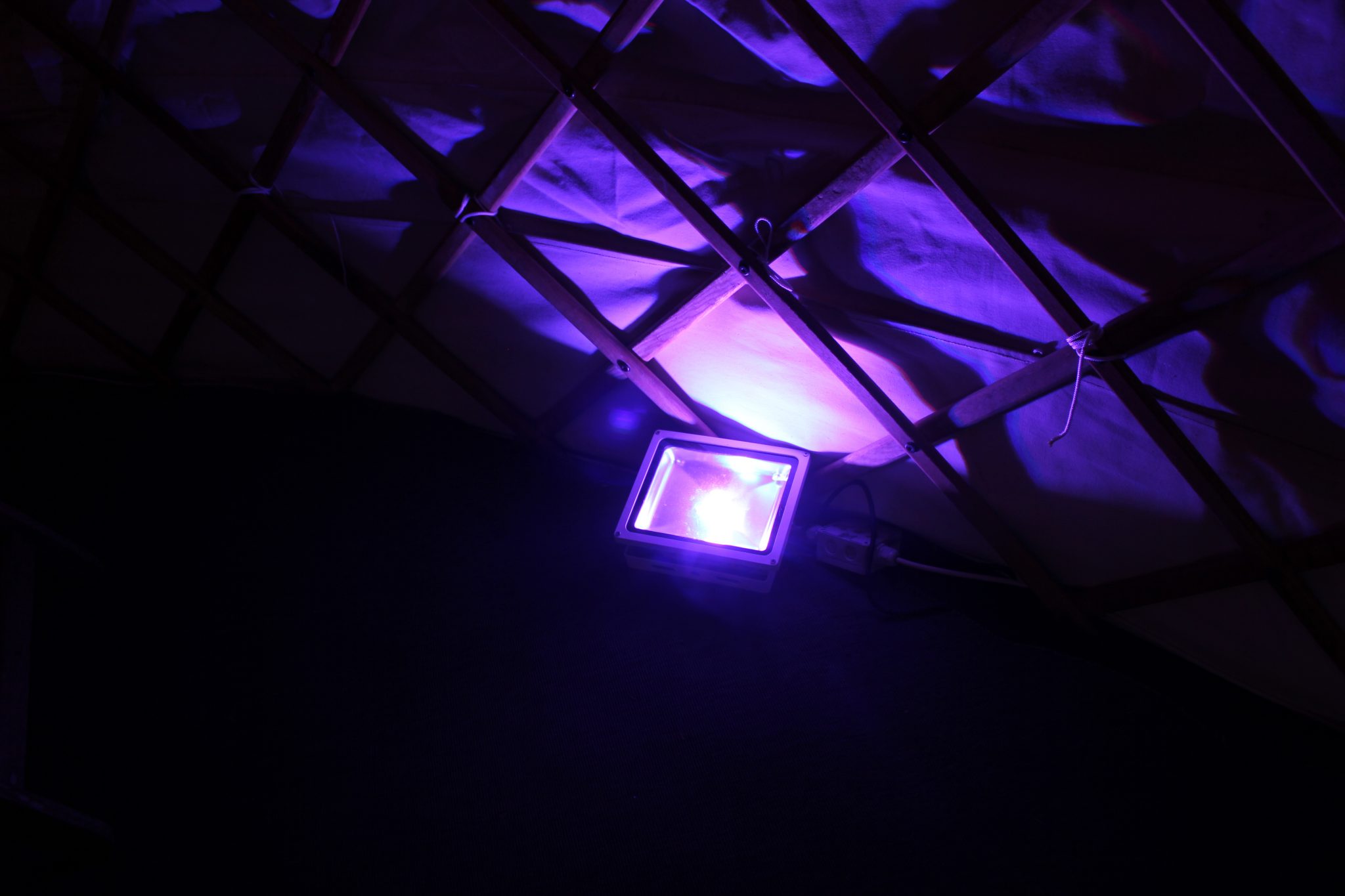 Marquee Lights : How to make yours glow for the evening reception ...